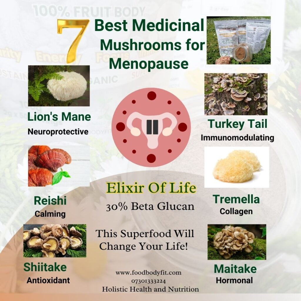 7 Best Mushrooms for Menopause - Weight Loss and Type 2 Diabetes Remission
